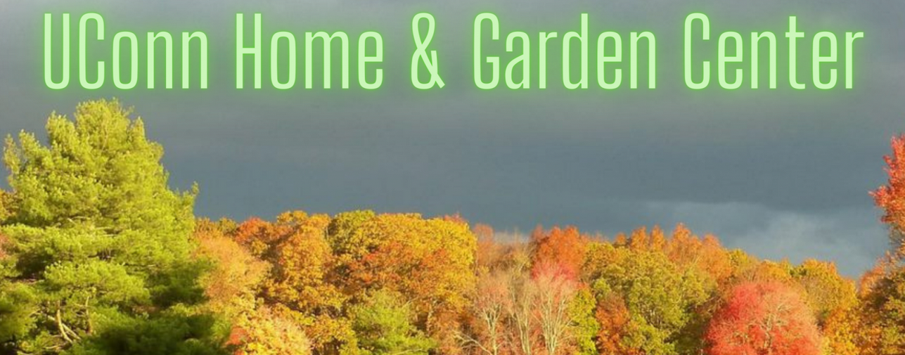 UConn Home & Garden Fact Sheets - YardScapes Landscape