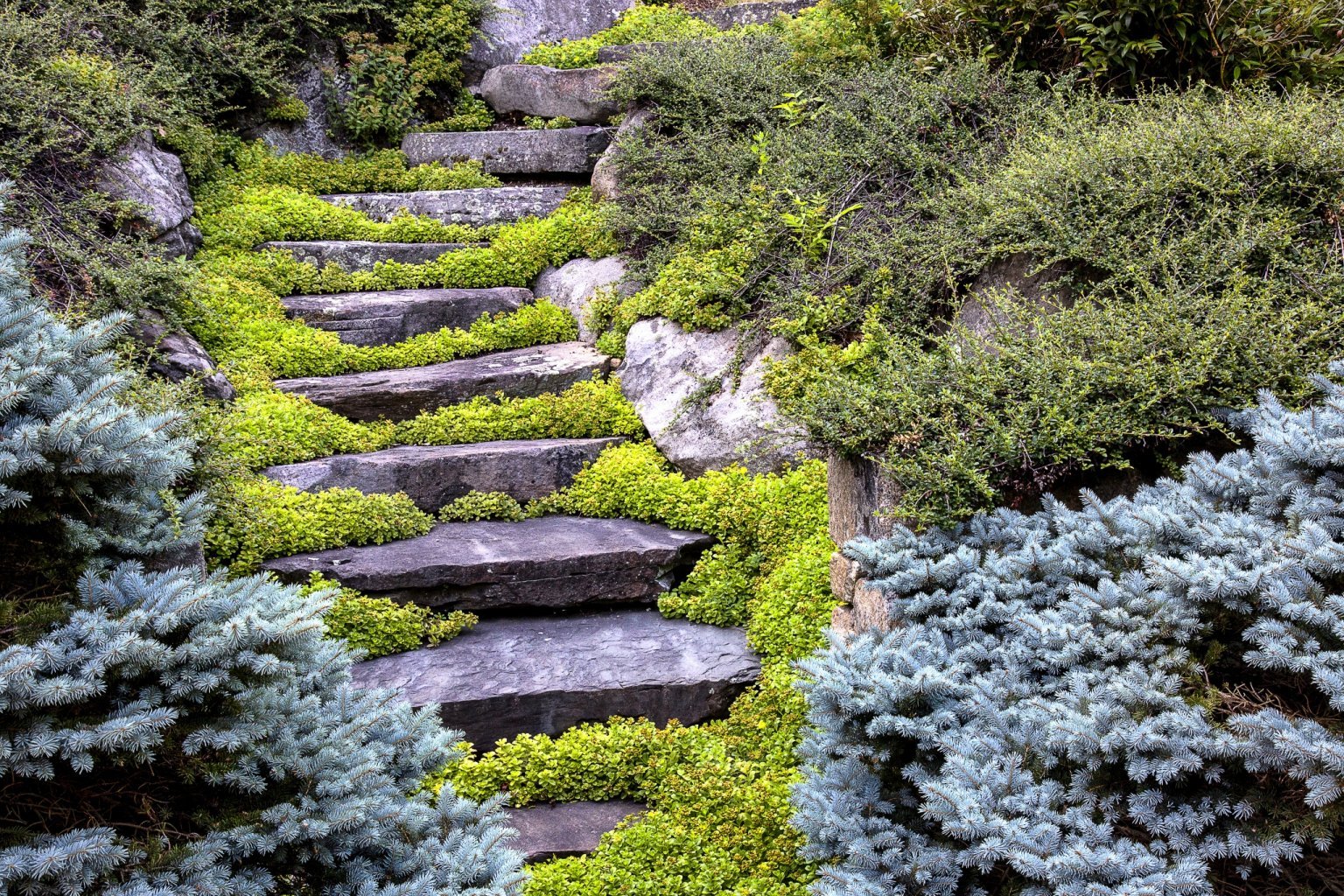 Paths & Walkways - YardScapes Landscape