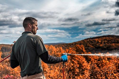 Estate Management and Fall Services - YardScapes Landscape