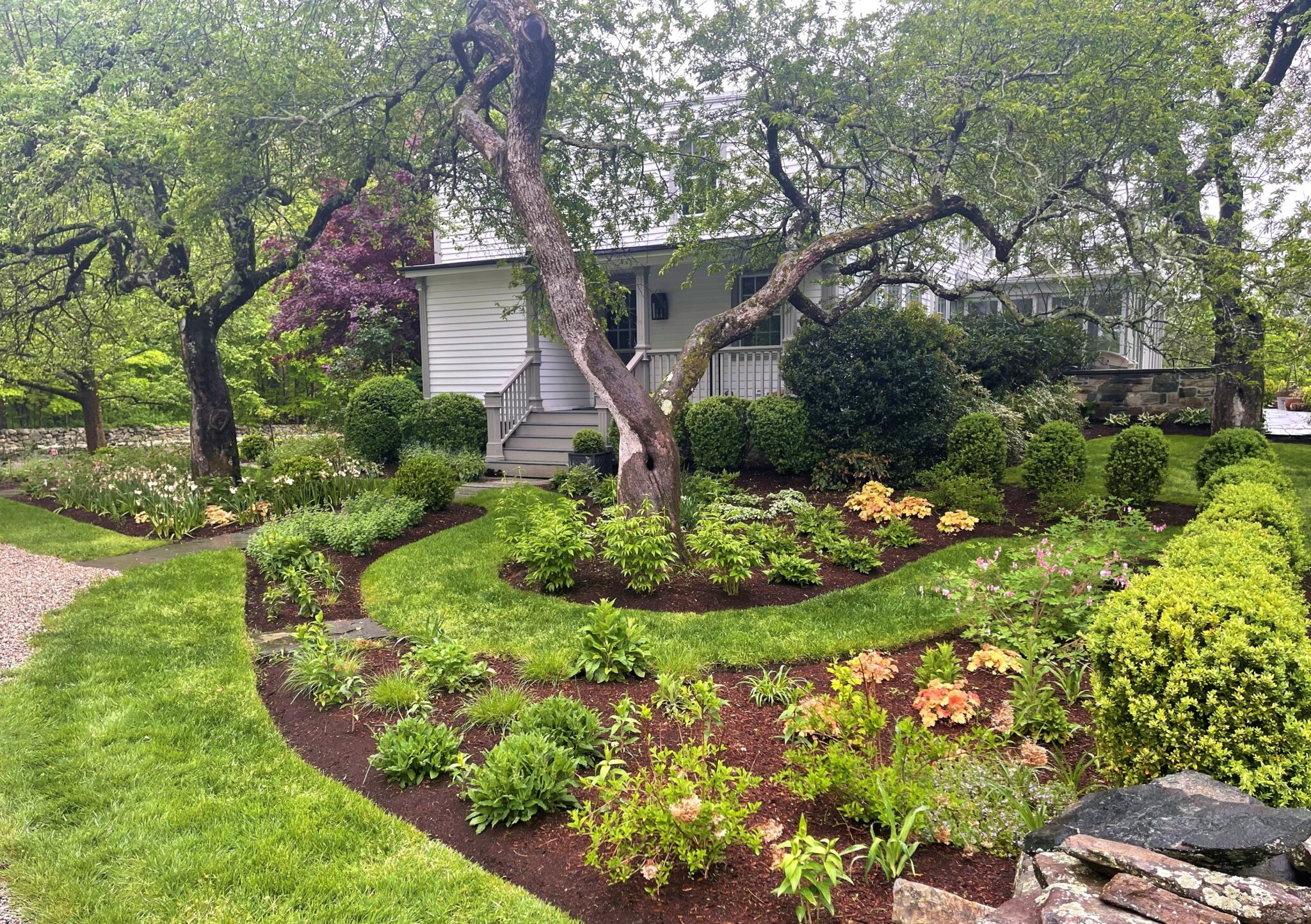 TREE CHECK MONTH - YardScapes Landscape