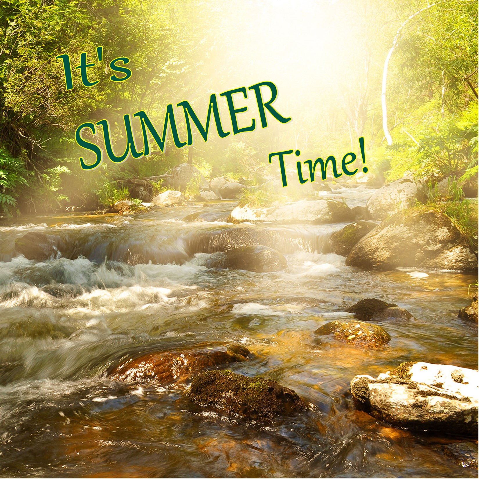 JUNE 21 - Summer Solstice - YardScapes Landscape